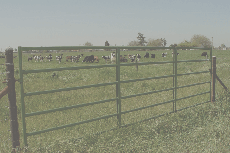 Cattle Gates and Panels