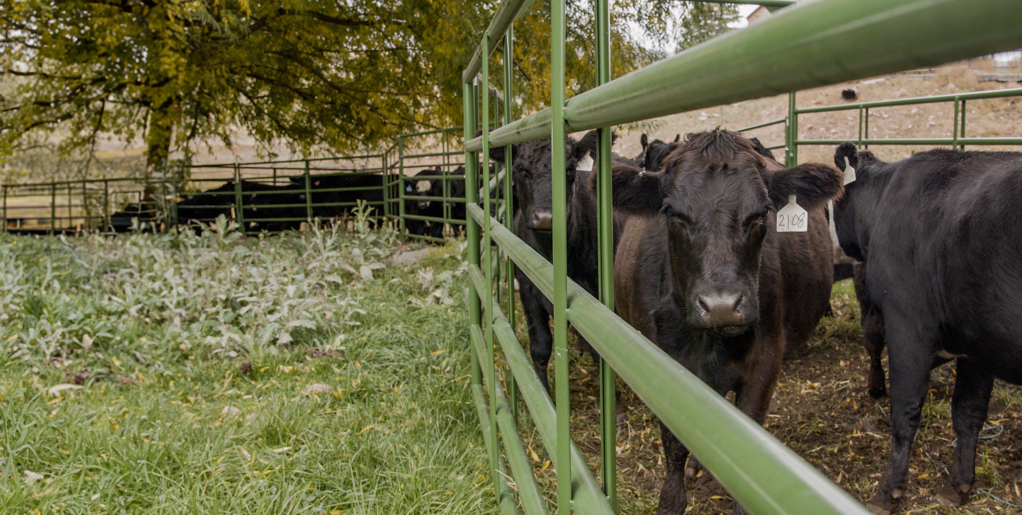 Home [powderriver.com]