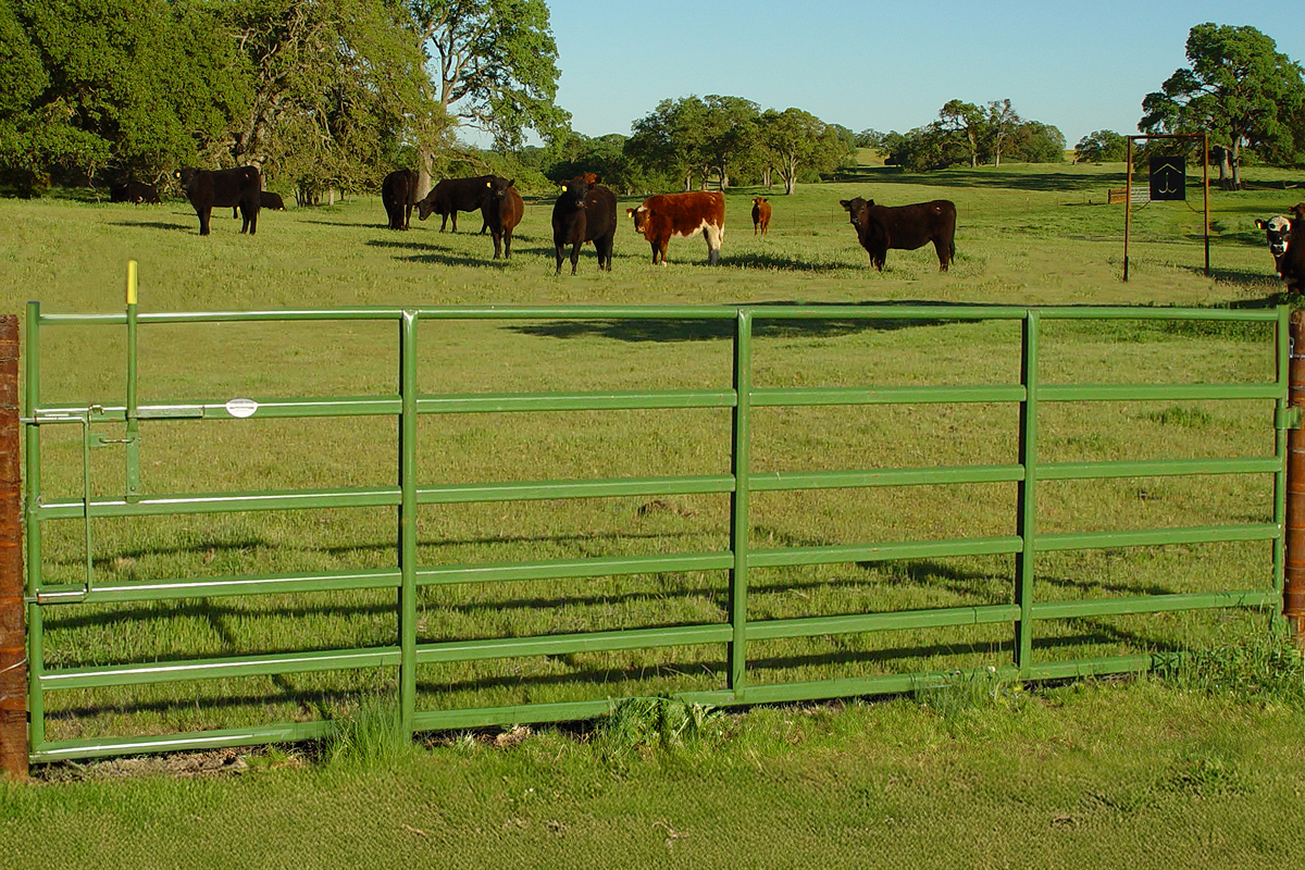 Cattle Gates and Panels